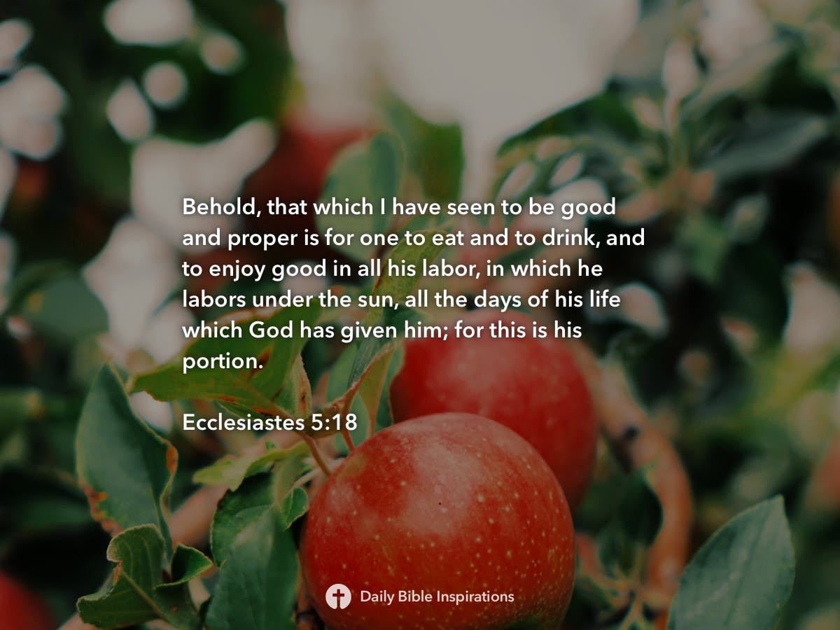 Ecclesiastes 5:18 | Daily Bible Inspirations