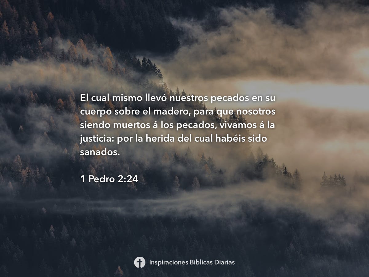 1 Pedro 2:24 | Inspiraciones Bíblicas Diarias