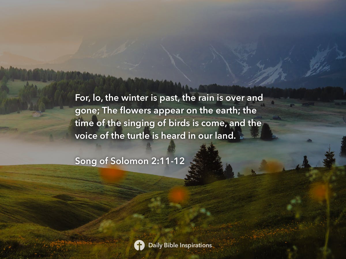 Song of Solomon 2:11-12 - Daily Bible Inspirations