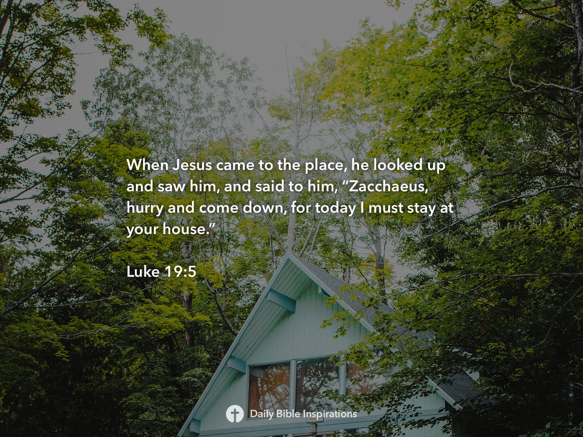 Luke 19:5 - Daily Bible Inspirations