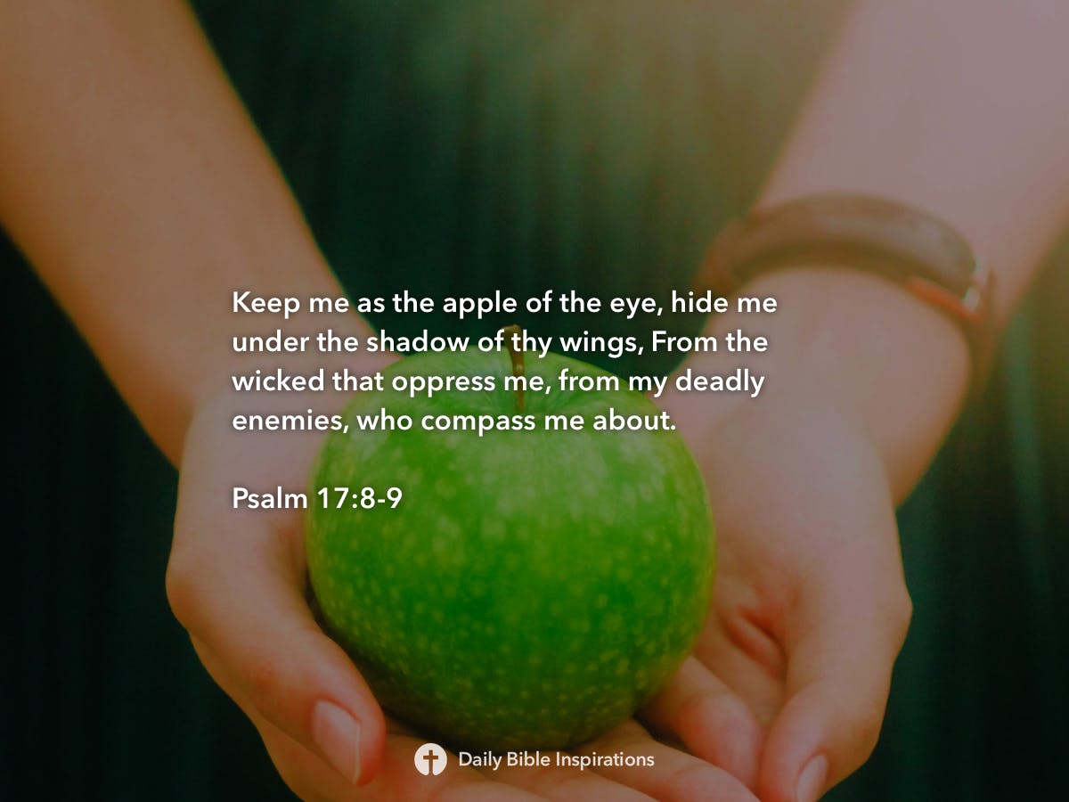 Psalm 17 8 9 Daily Bible Inspirations