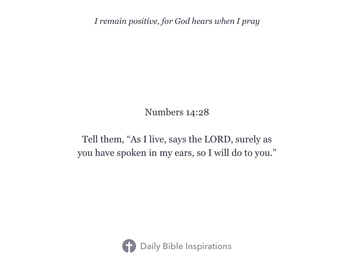 Numbers 14:28 - Daily Bible Inspirations