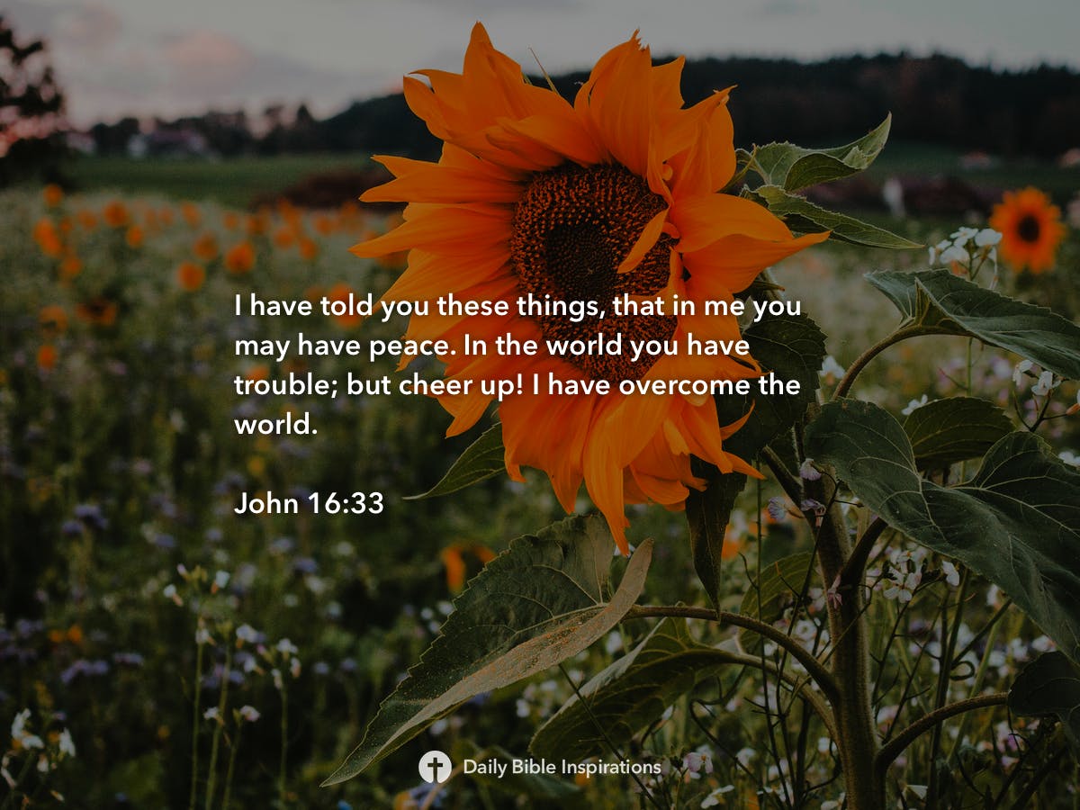 John 16:33 - Daily Bible Inspirations