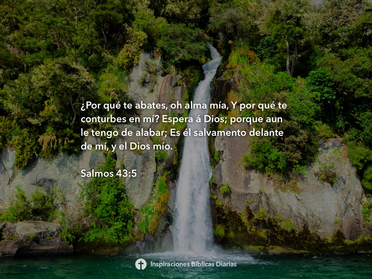 Salmos 43:5 - Inspiraciones Bíblicas Diarias