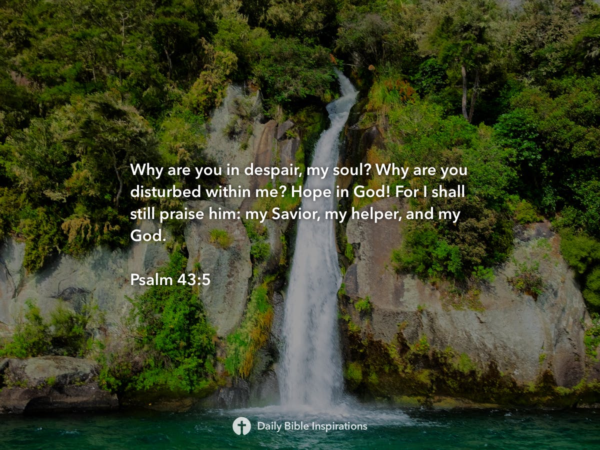 Psalm 43:5 - Daily Bible Inspirations