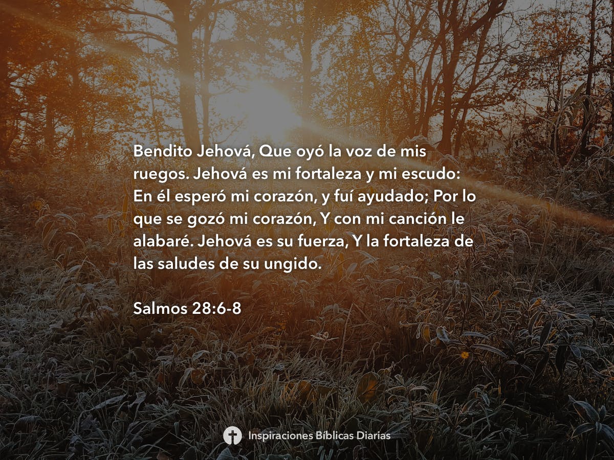 Salmos 28:6-8 | Inspiraciones Bíblicas Diarias