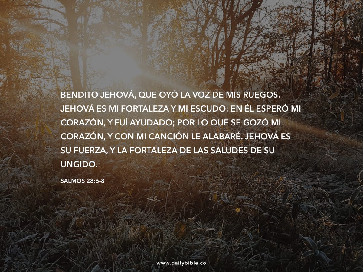 Salmos 28:6-8 - Inspiraciones Bíblicas Diarias