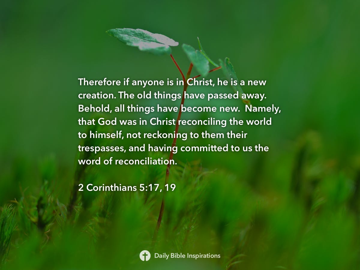 2 Corinthians 5:17, 19 | Daily Bible Inspirations
