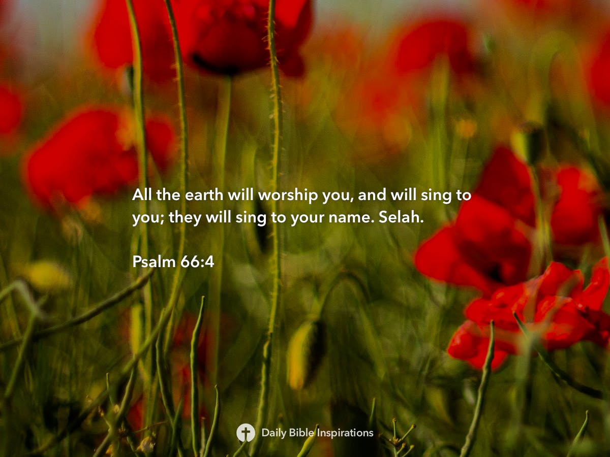 Psalm 66:4 - Daily Bible Inspirations