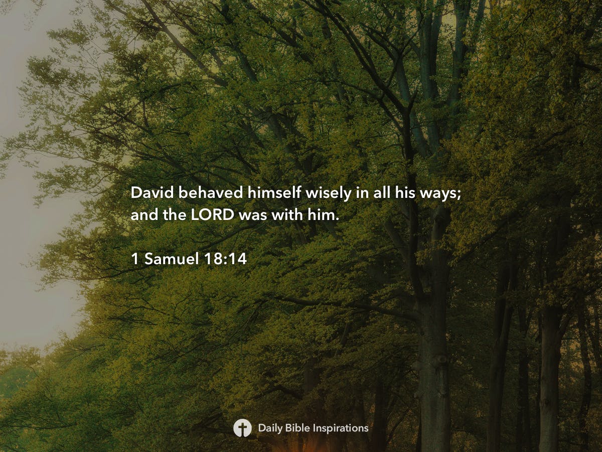 1 Samuel 18:14 - Daily Bible Inspirations