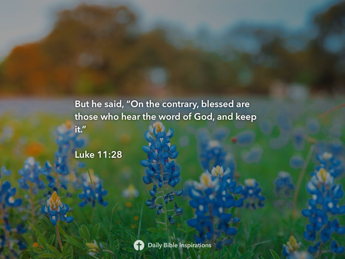 Luke 11:28 | Daily Bible Inspirations