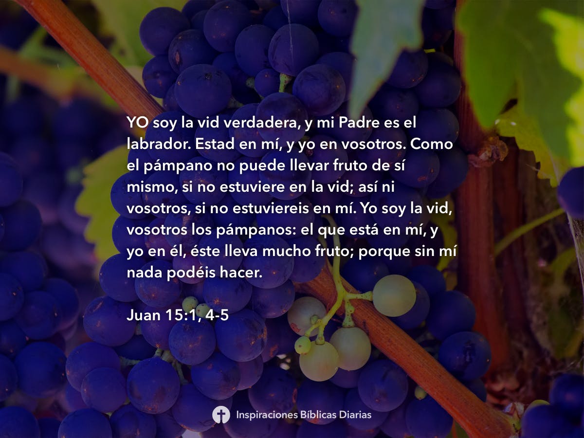 Juan 15:1, 4-5 | Inspiraciones Bíblicas Diarias