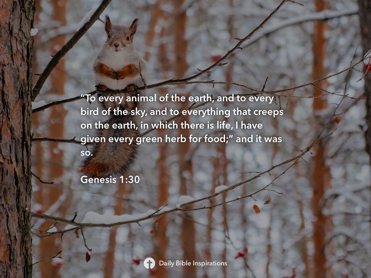 Genesis 1:30 | Daily Bible Inspirations