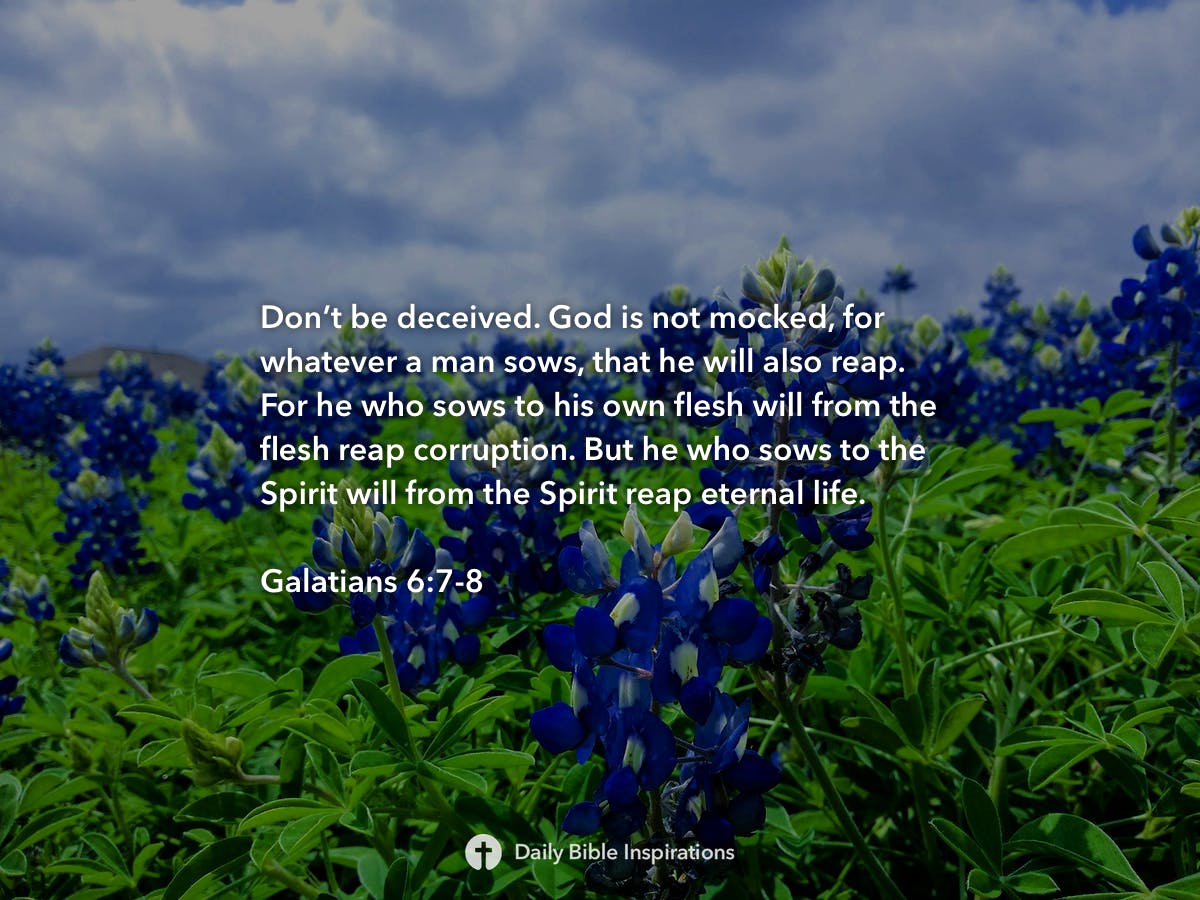 Galatians 6:7-8 | Daily Bible Inspirations