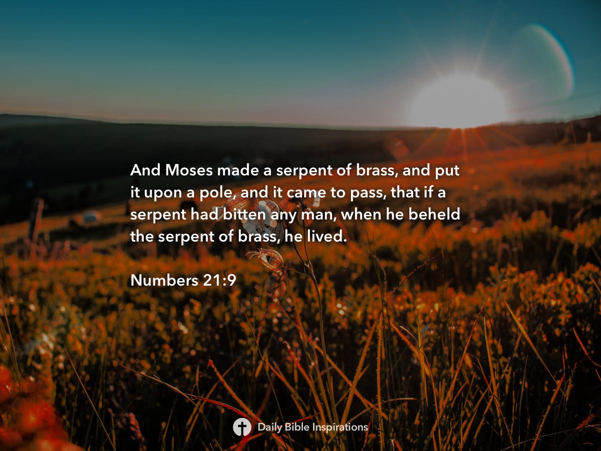 Numbers 21:9 | Daily Bible Inspirations