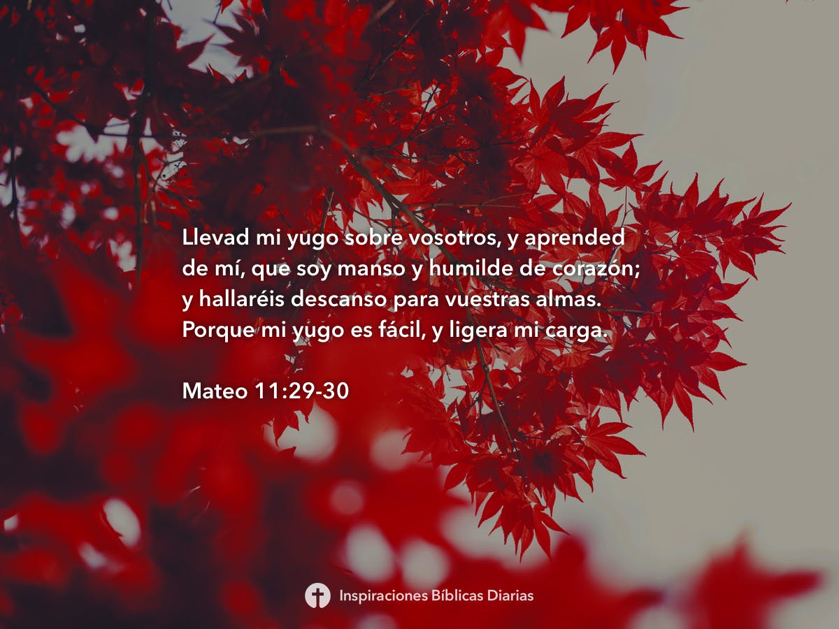 Mateo 11:29-30 - Inspiraciones Bíblicas Diarias