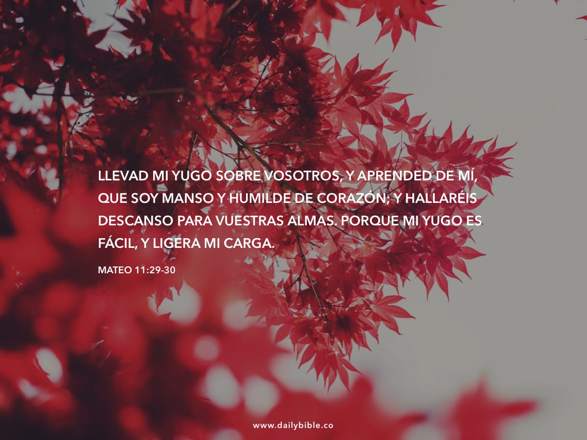 Mateo 11:29-30 - Inspiraciones Bíblicas Diarias