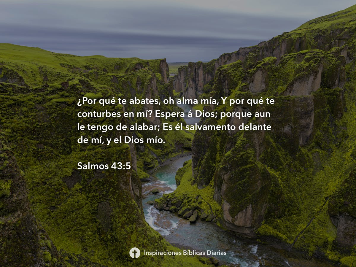 Salmos 43:5 - Inspiraciones Bíblicas Diarias