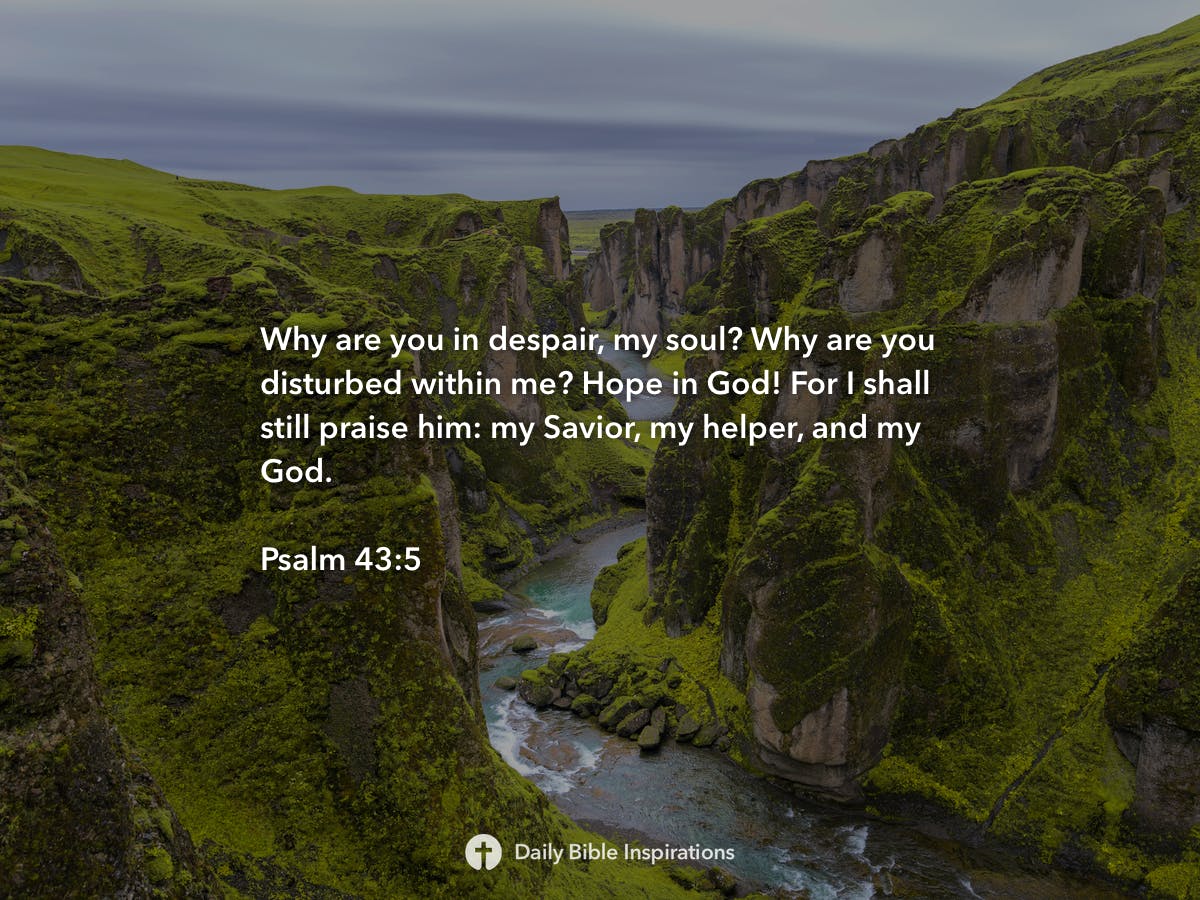 Psalm 43:5 | Daily Bible Inspirations