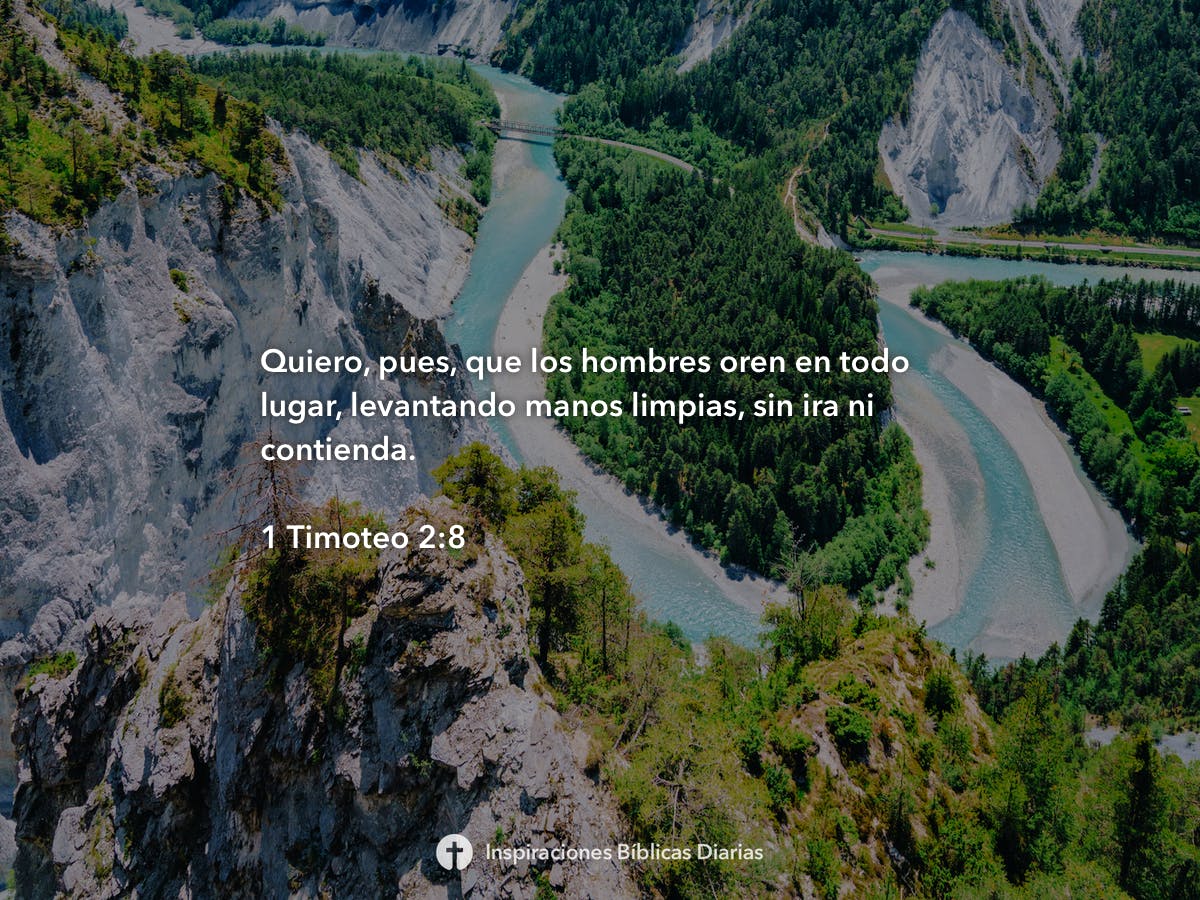 1 Timoteo 2:8 - Inspiraciones Bíblicas Diarias
