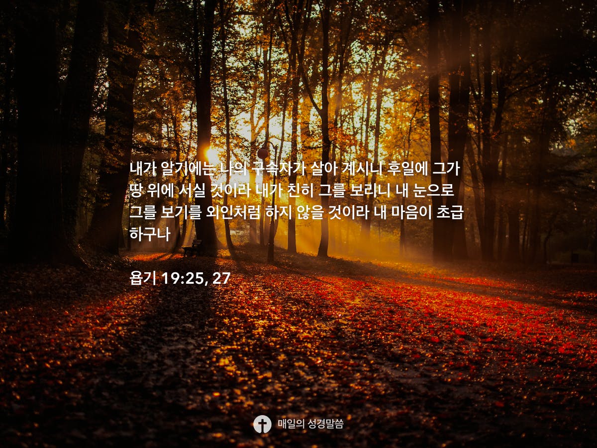욥기 19:25, 27 - Daily Bible Inspirations