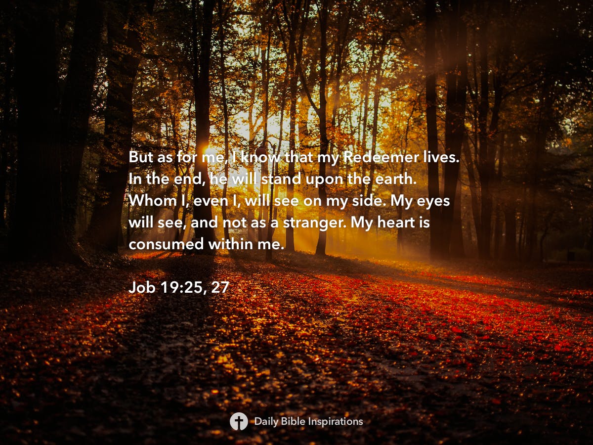 Job 19:25, 27 - Daily Bible Inspirations