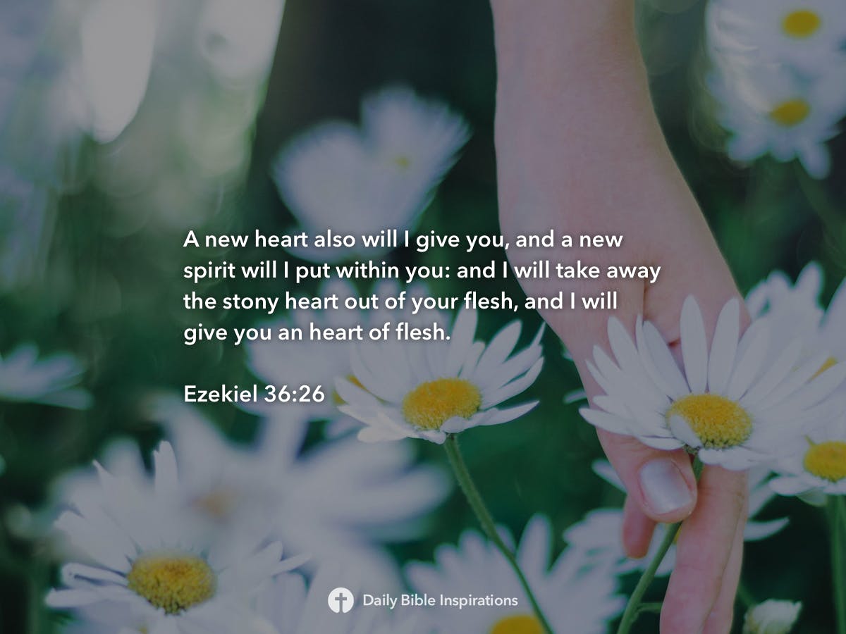 Ezekiel 36:26 - Daily Bible Inspirations