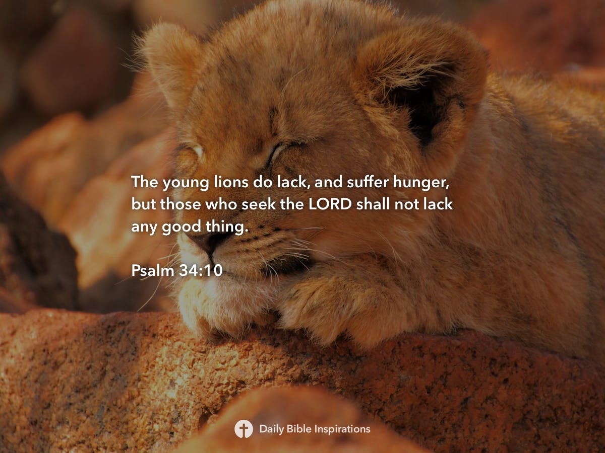Psalm 34:10 - Daily Bible Inspirations