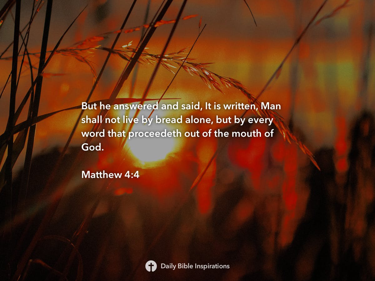 Matthew 4:4 - Daily Bible Inspirations