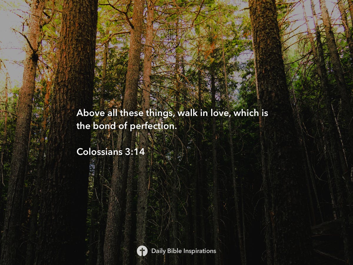 Colossians 3:14 - Daily Bible Inspirations