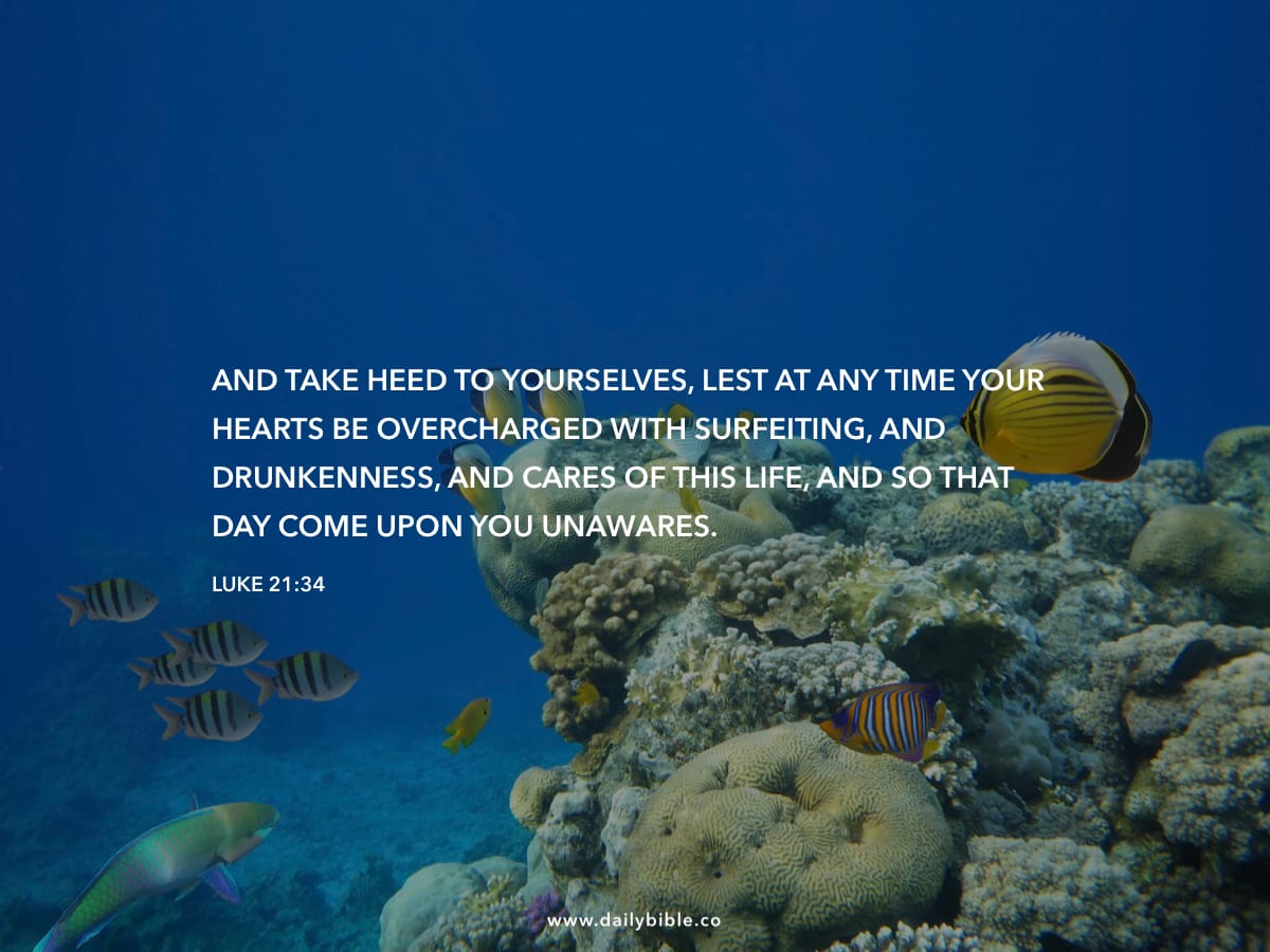 Luke 21:34 - Daily Bible Inspirations