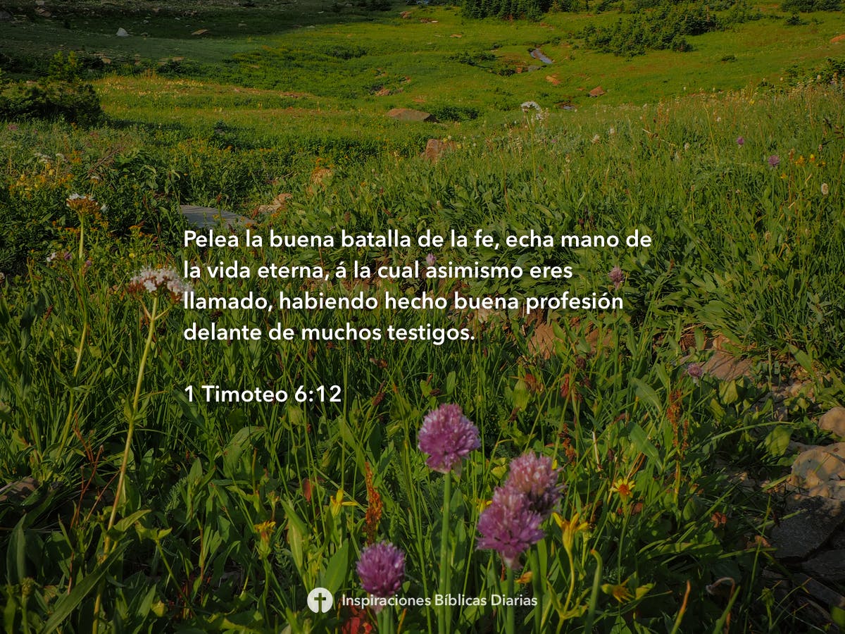 1 Timoteo 6:12 - Inspiraciones Bíblicas Diarias