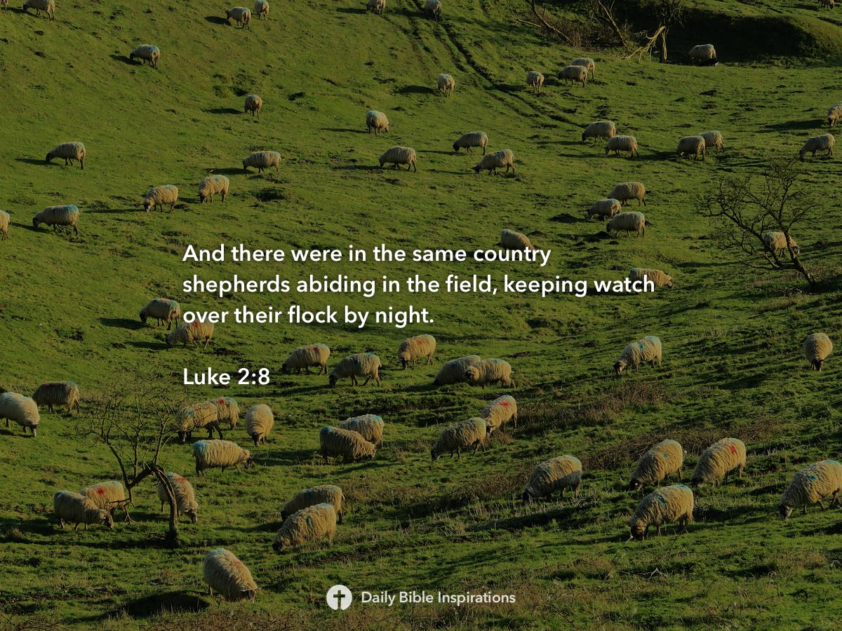 Luke 2 8 Daily Bible Inspirations
