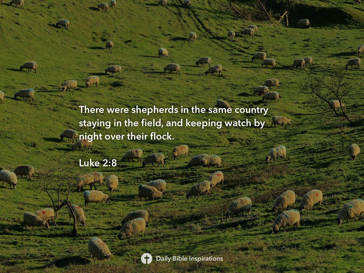 Luke 2:8 - Daily Bible Inspirations