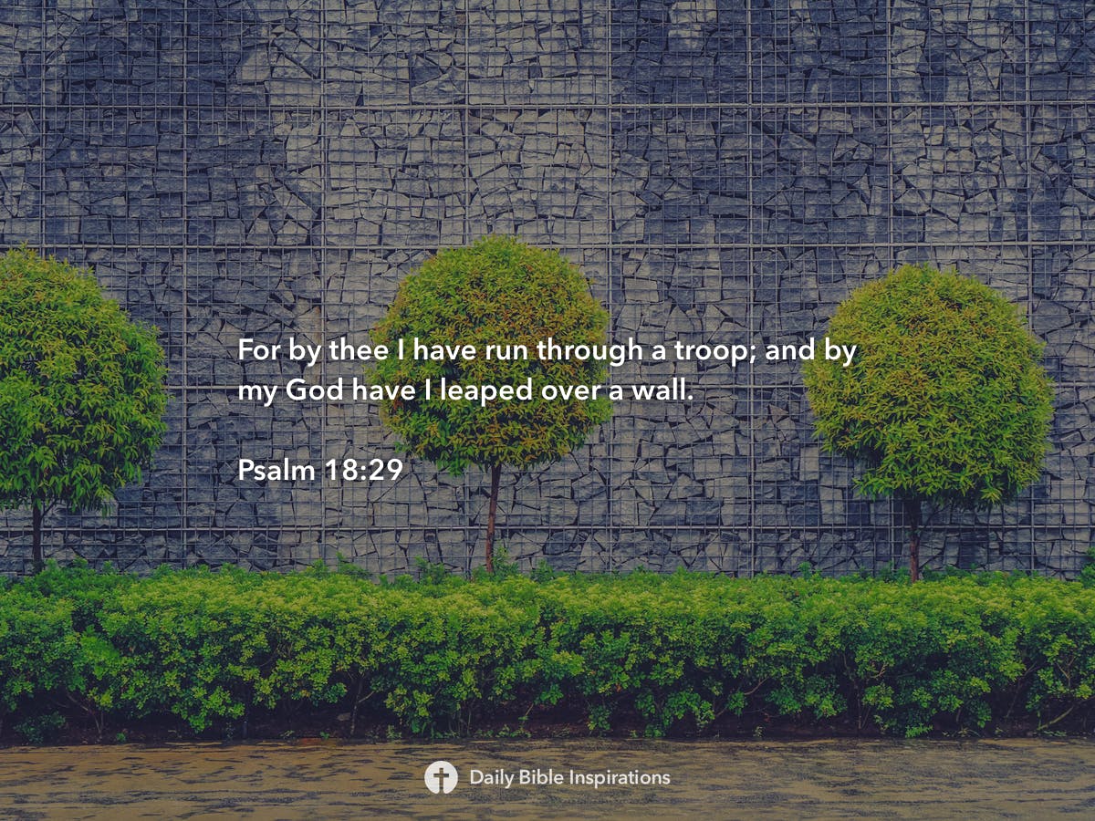 Psalm 18:29 - Daily Bible Inspirations