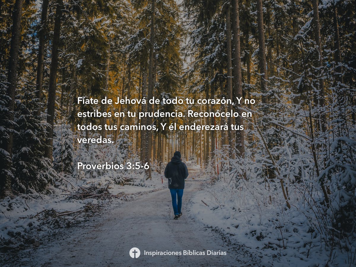 Proverbios 3:5-6 - Inspiraciones Bíblicas Diarias