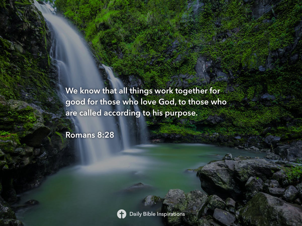 Romans 8:28 - Daily Bible Inspirations