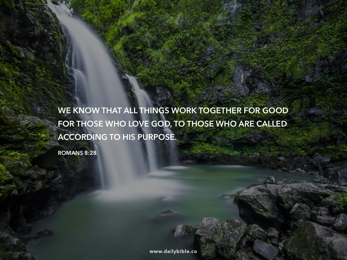 Romans 8:28 - Daily Bible Inspirations