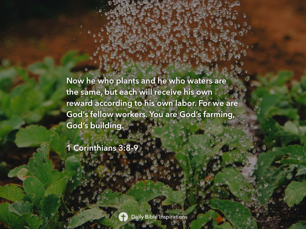 1 Corinthians 3:8-9 - Daily Bible Inspirations