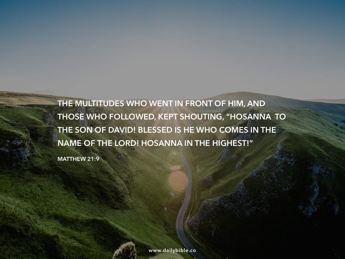 Matthew 21:9 - Daily Bible Inspirations