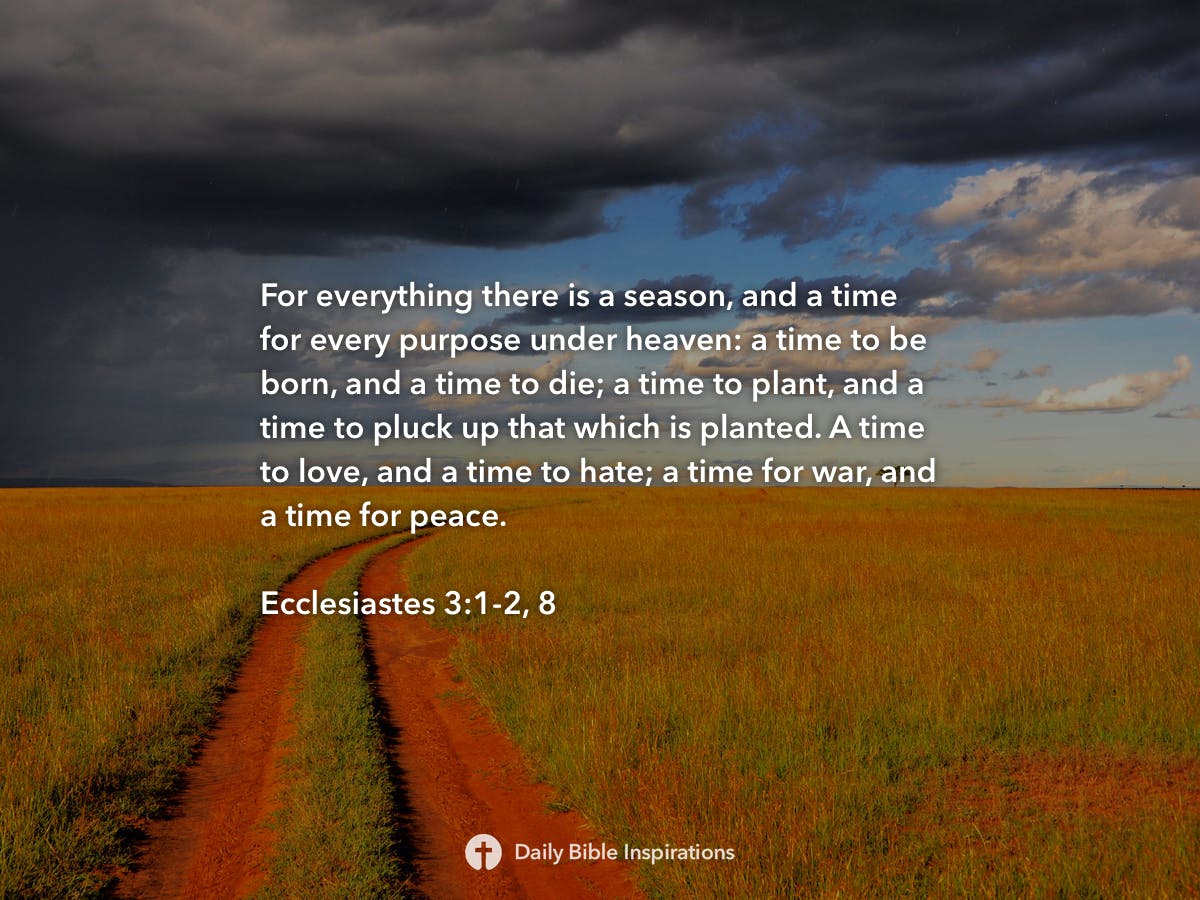 Ecclesiastes 3:1-2, 8 | Daily Bible Inspirations