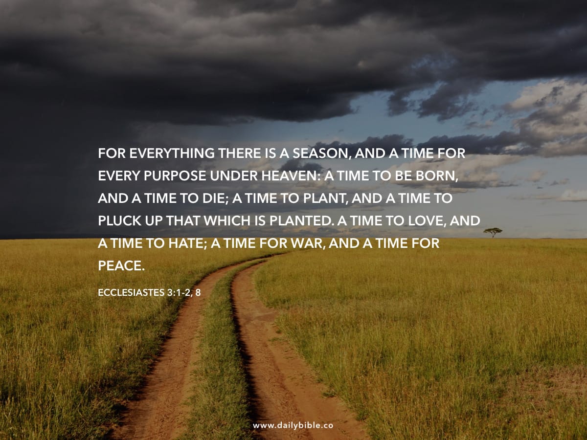 Ecclesiastes 3:1-2, 8 - Daily Bible Inspirations