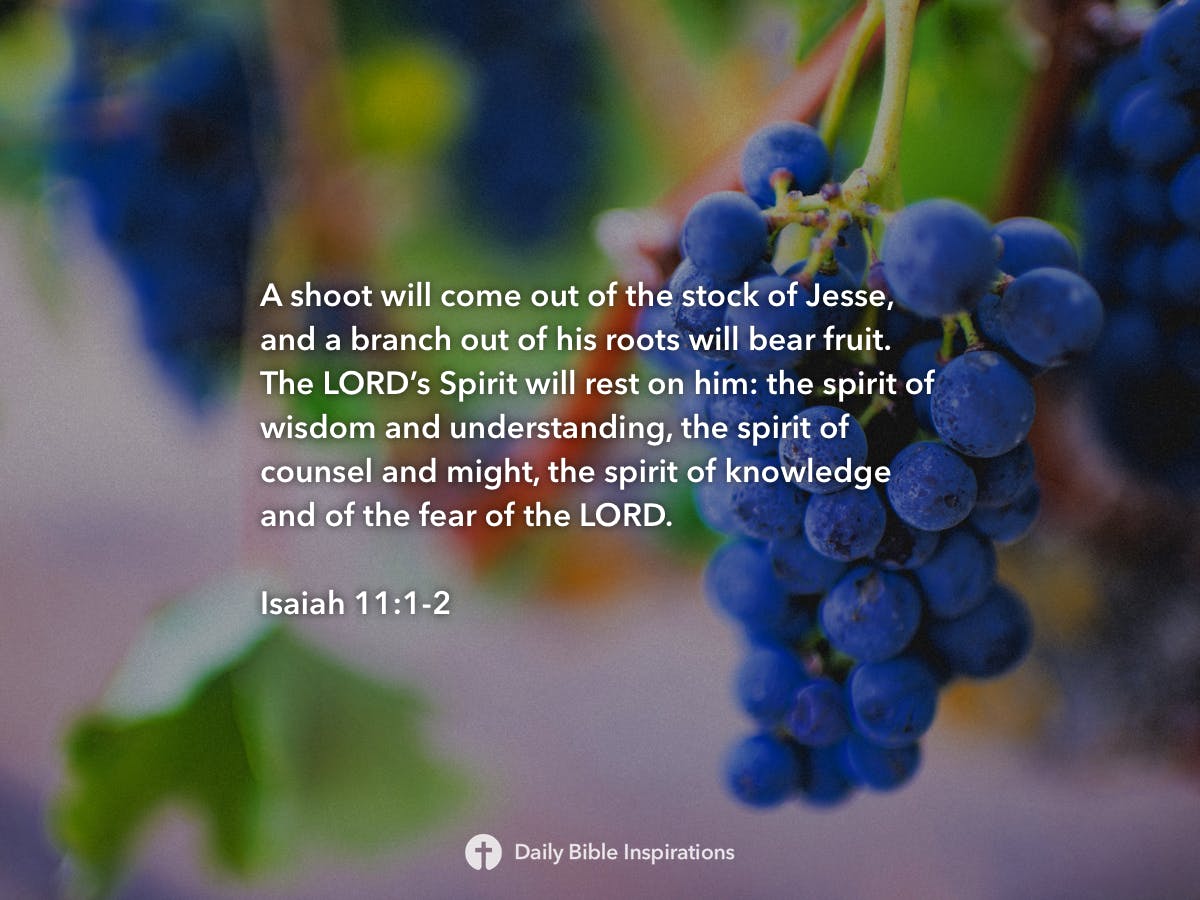 isaiah-11-1-2-daily-bible-inspirations