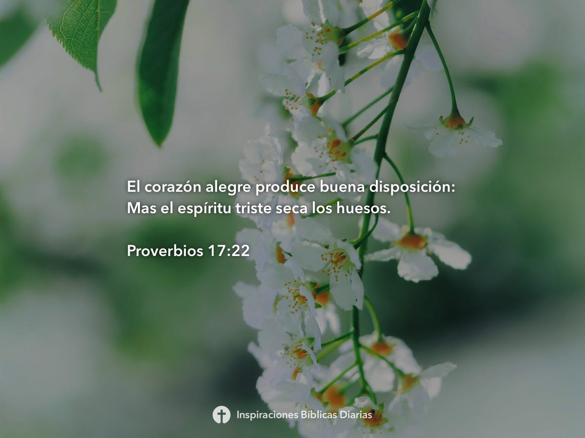 Proverbios 17:22 - Inspiraciones Bíblicas Diarias