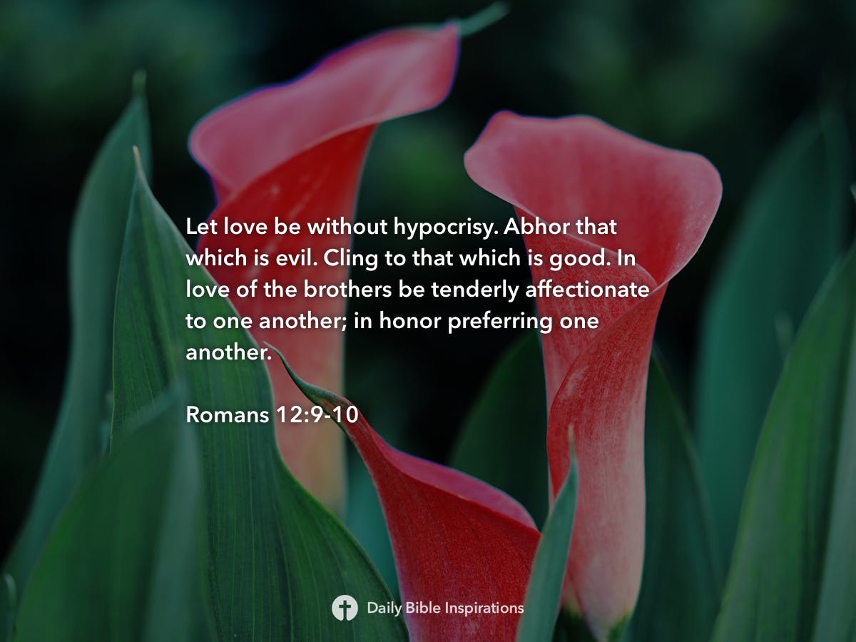 Romans 12:9-10 | Daily Bible Inspirations