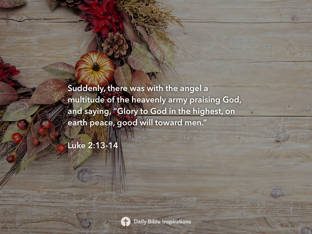 Luke 2:13-14 | Daily Bible Inspirations