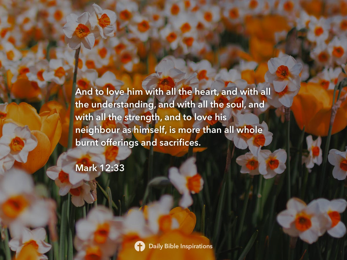 Mark 12:33 - Daily Bible Inspirations