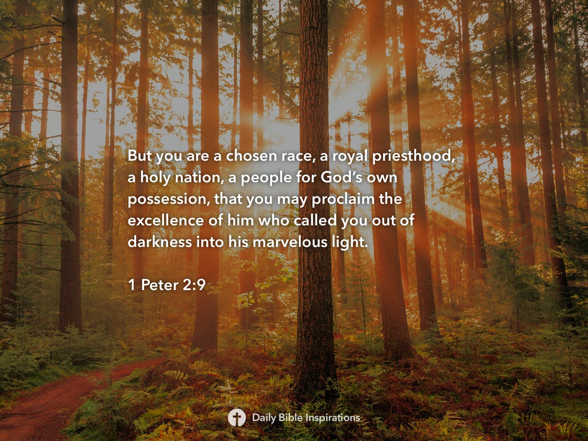1 Peter 2:9 - Daily Bible Inspirations