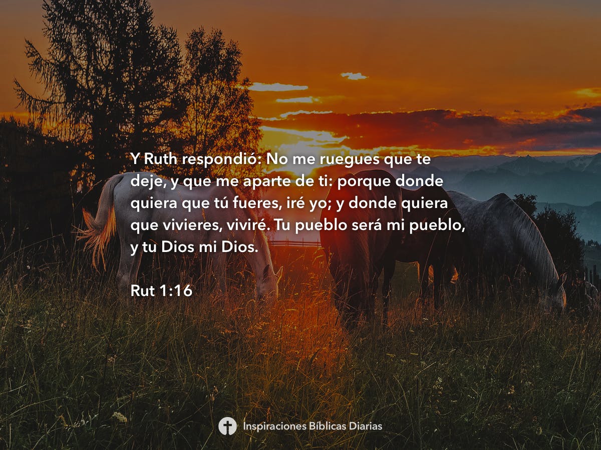 Rut 1:16 - Inspiraciones Bíblicas Diarias