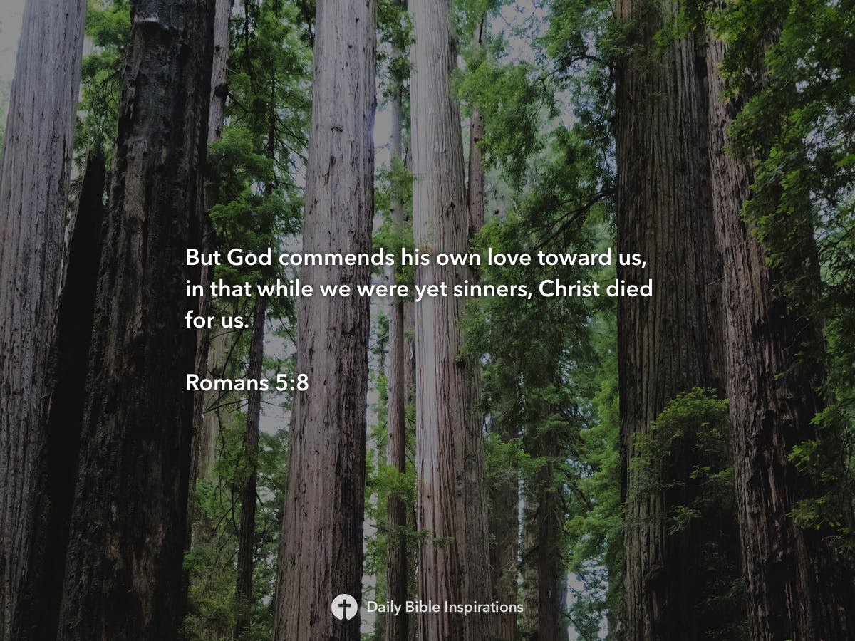 Romans 5 8 Daily Bible Inspirations